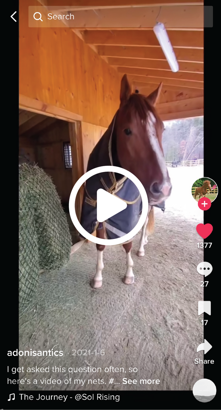 CUSTOMER REVIEWS – Page 3 – Hay Chix