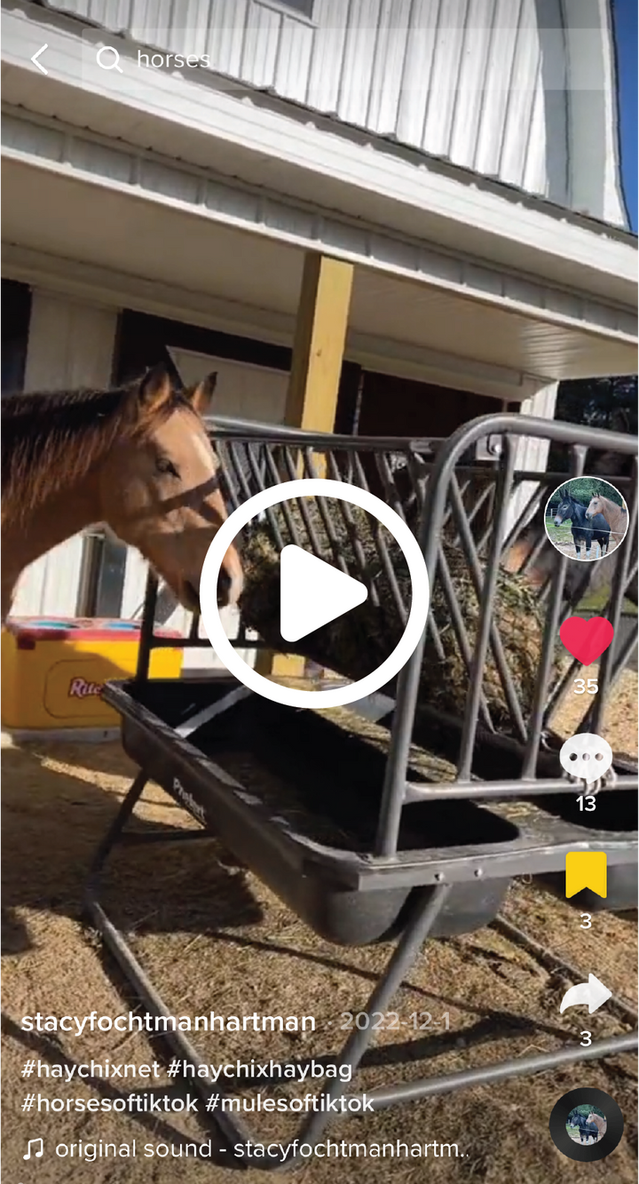 Hay Chix - The Best Hay Nets for Horses and Livestock