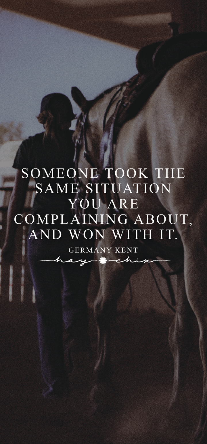 Hay Chix - The Best Hay Nets for Horses and Livestock