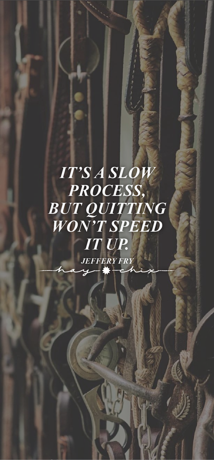 Slow Process – Hay Chix
