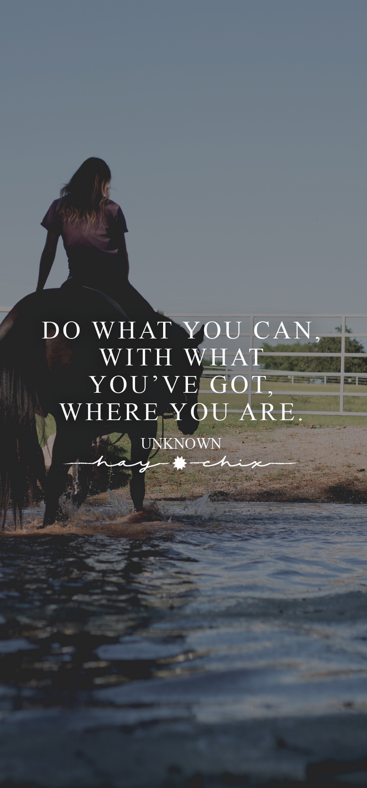 Hay Chix - The Best Hay Nets for Horses and Livestock