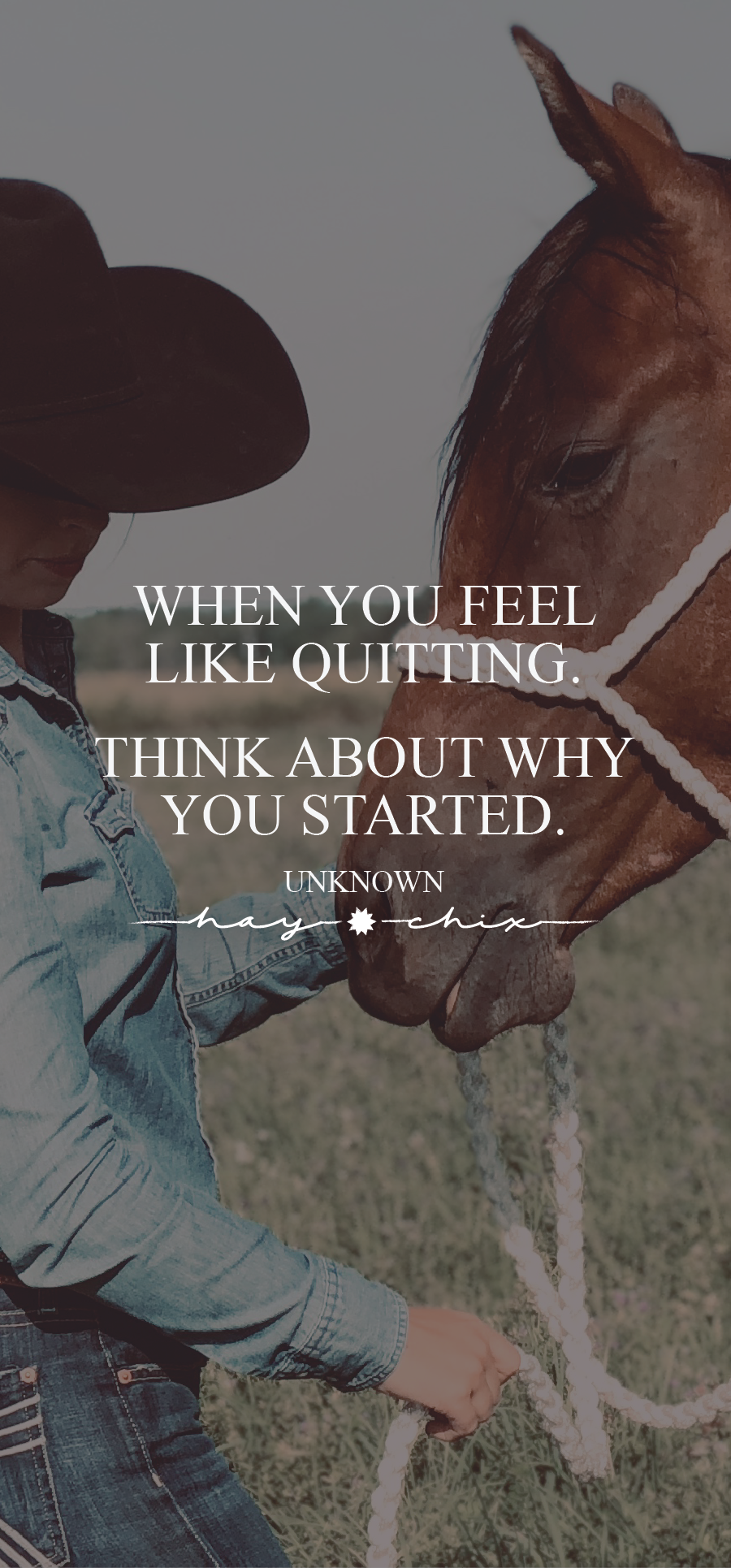 Think About Why – Hay Chix