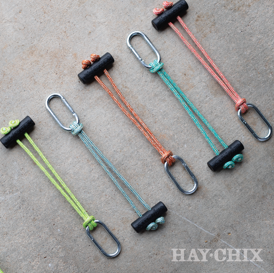 ACCESSORIES – Hay Chix