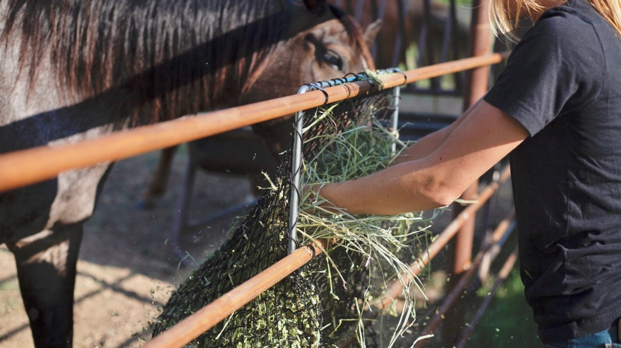 Hay Chix - The Best Hay Nets for Horses and Livestock