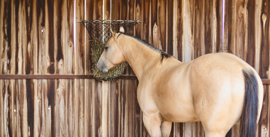 Hay Chix - The Best Hay Nets for Horses and Livestock