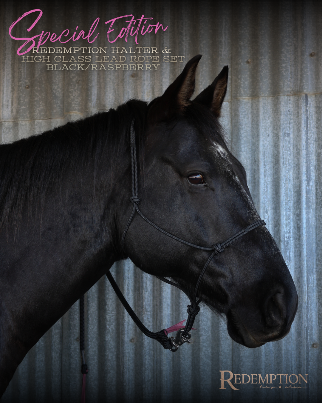 Special Edition Redemption Halter & Lead Rope- Black/Raspberry Set ...