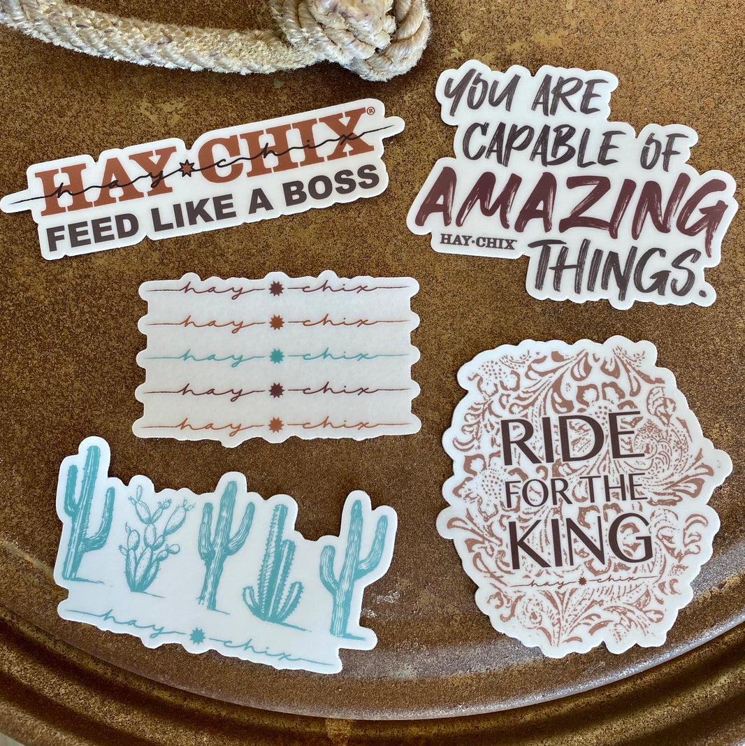 NEW – Hay Chix